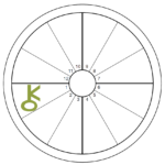 Chiron in the Houses of the Natal Chart | Cafe Astrology .com